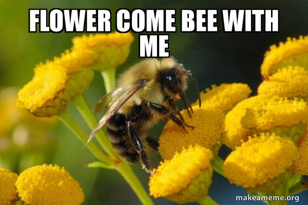 flower come bee with me - Good Guy Bee Meme Generator