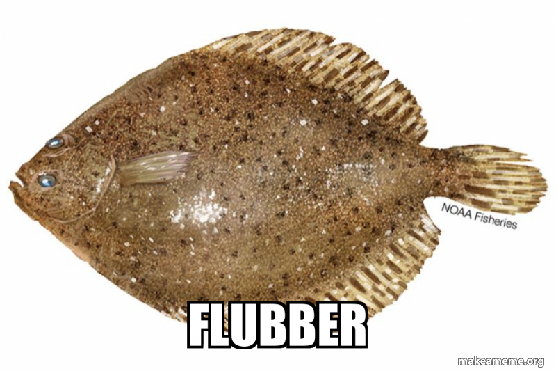 Flubber Meme Generator