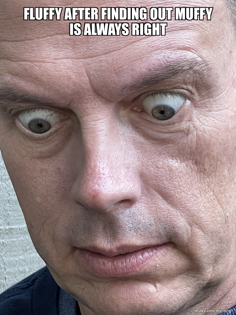 Fluffy after finding out muffy Is always right Meme Generator