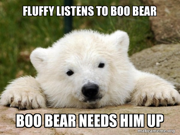 Fluffy listens to boo bear Boo bear needs him up - Popular Opinion Bear ...