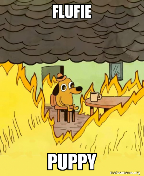 flufie puppy - This Is Fine Meme Generator