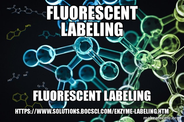 fluorescent Labeling fluorescent Labeling https://www.solutions.bocsci ...