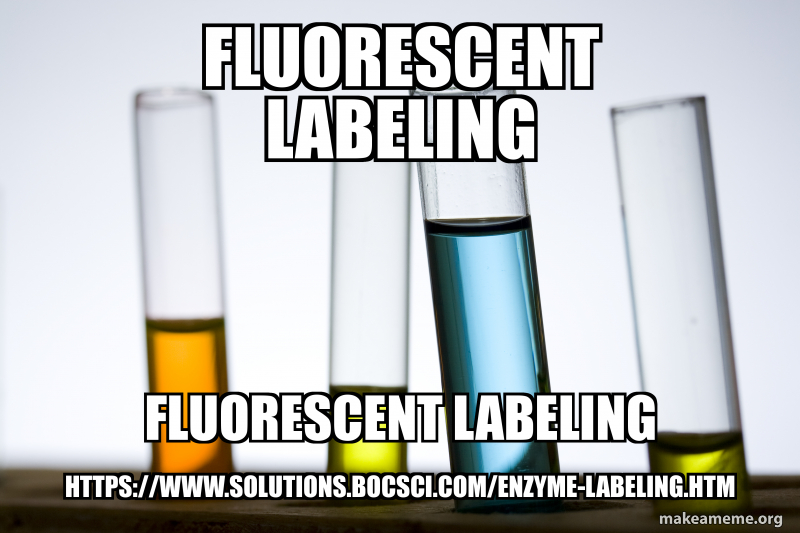 fluorescent Labeling fluorescent Labeling https://www.solutions.bocsci ...