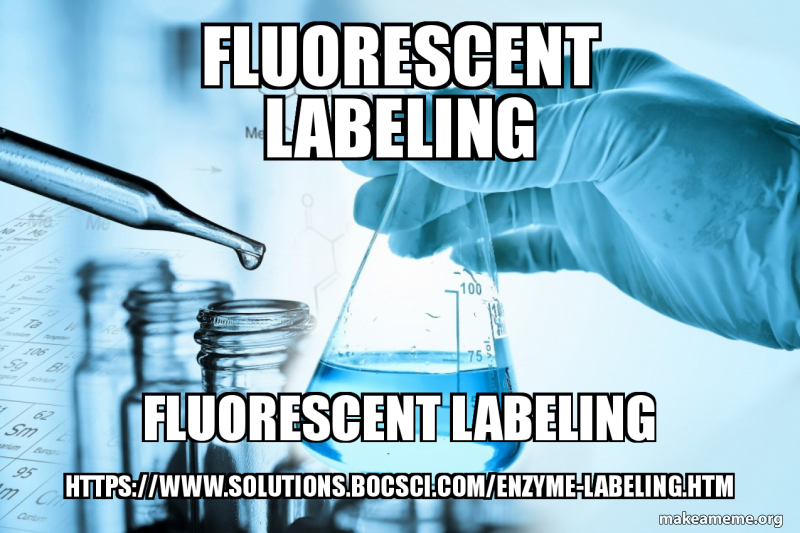 fluorescent Labeling fluorescent Labeling https://www.solutions.bocsci ...