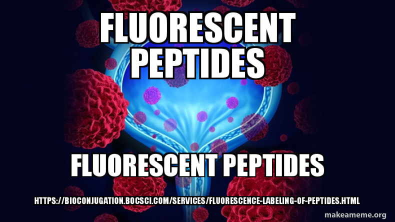 fluorescent peptides fluorescent peptides https://bioconjugation.bocsci ...
