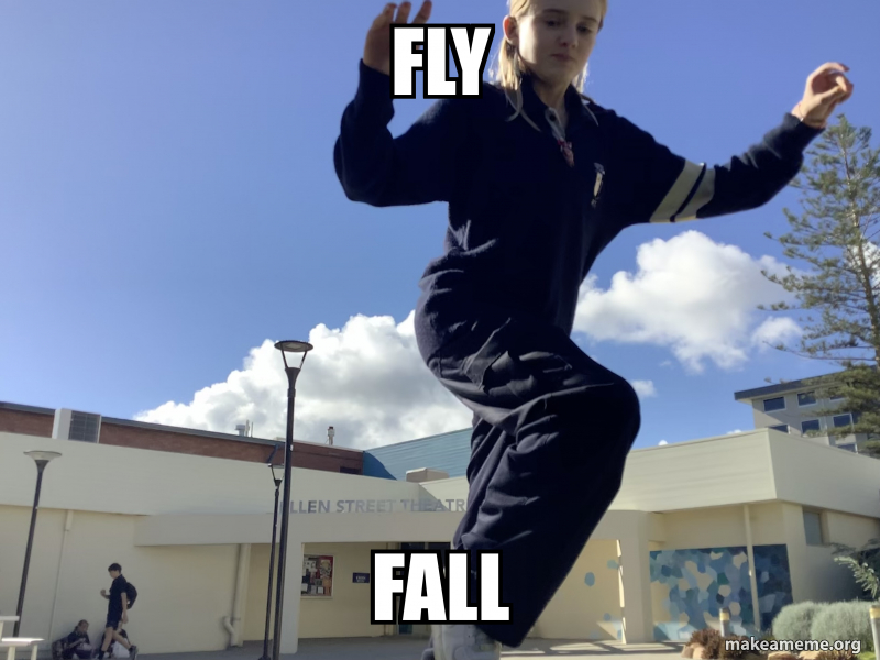 Fly Fall Meme Generator