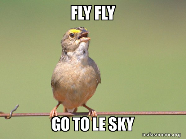 Fly fly Go to le sky - Common Opinion Sparrow Meme Generator