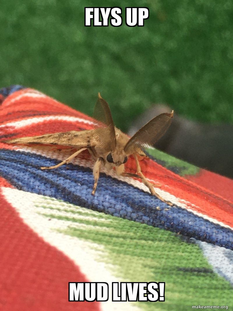 flys up Mud lives! Meme Generator