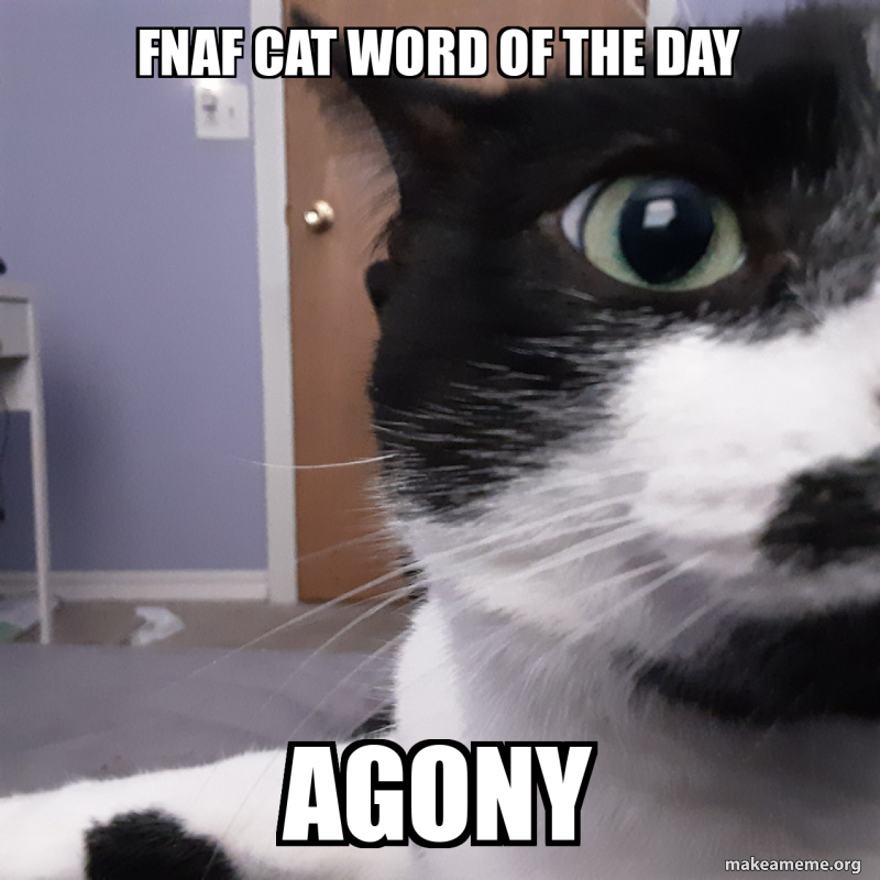 FNAF CAT WORD OF THE DAY AGONY Meme Generator