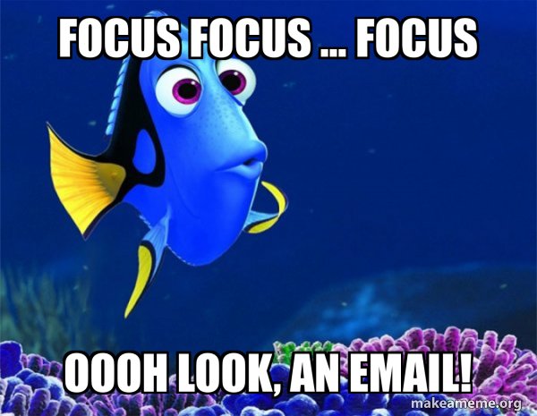 focus focus ... focus oooh look, an email! - Dory from Nemo (5 second ...