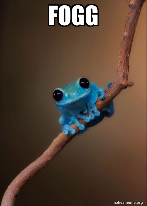 fogg - Small Fact Frog Meme Generator