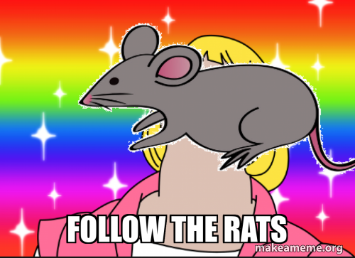 Follow The Rats Meme Generator