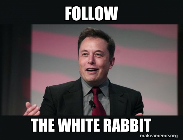 follow the white rabbit - Elon Musk Meme Generator