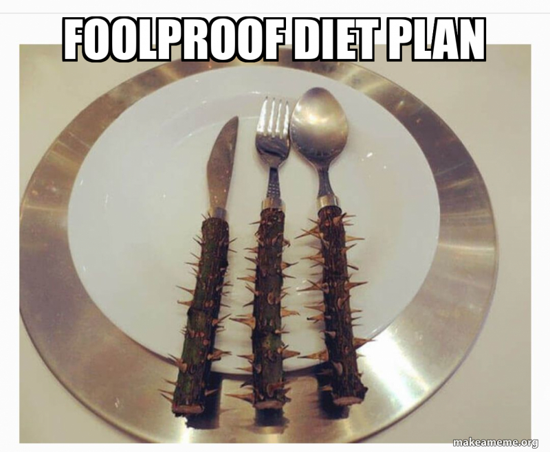 foolproof diet plan Meme Generator