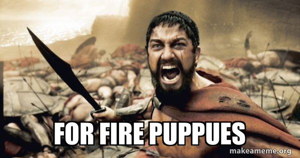 FOR FIRE PUPPUES - The 300 Meme Generator