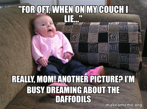 "For oft, when on my couch I lie..." Really, mom! Another picture? i'm ...