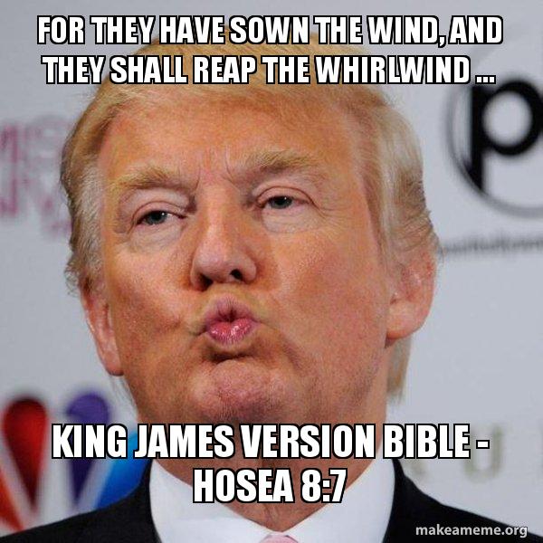 For they have sown the wind, and they shall reap the whirlwind ... King ...