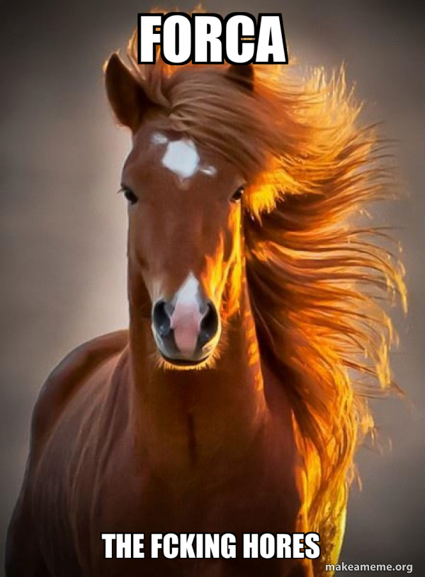 forca the fcking hores - Ridiculously photogenic horse Meme Generator