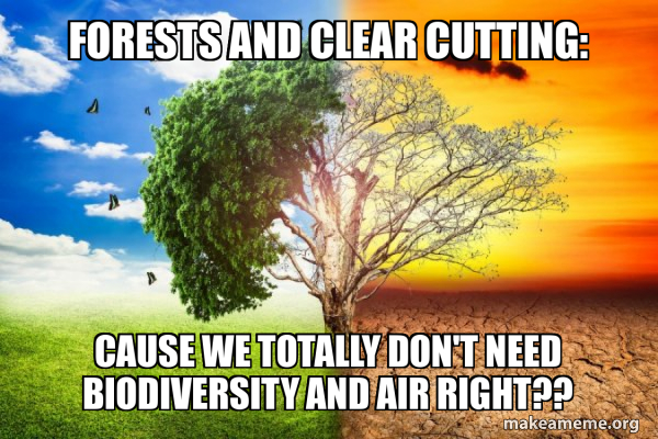 Forests and Clear cutting: Cause we totally don't need biodiversity and ...