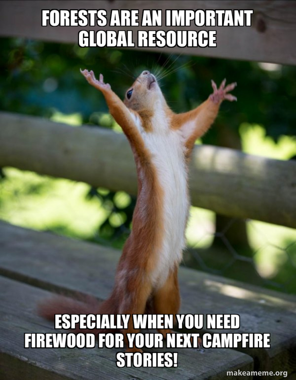 Forests are an important global resource Especially when you need ...