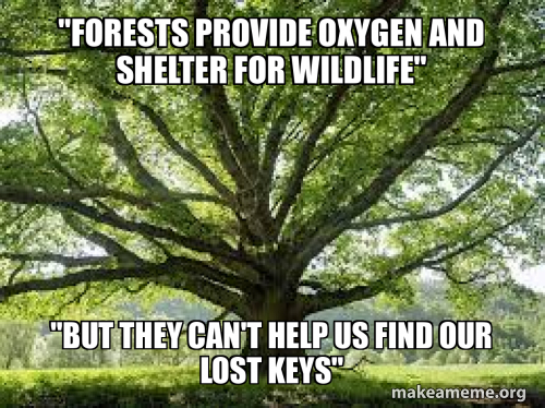"Forests provide oxygen and shelter for wildlife" "But they can't help ...