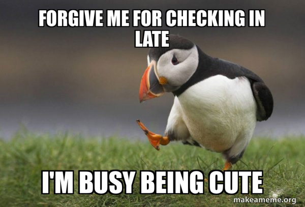 Forgive me for checking in late I'm busy being cute - Unpopular Opinion ...