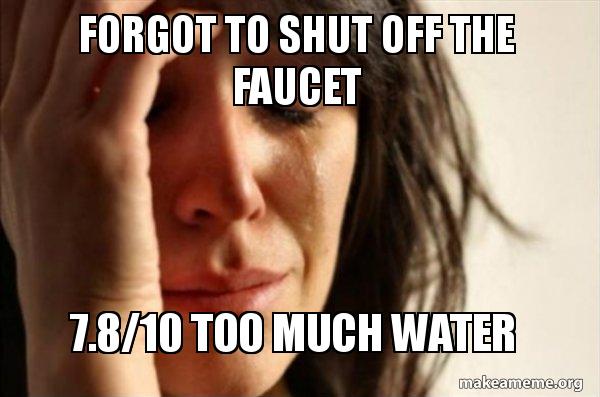 forgot to shut off the faucet 7.8/10 too much water - First World ...