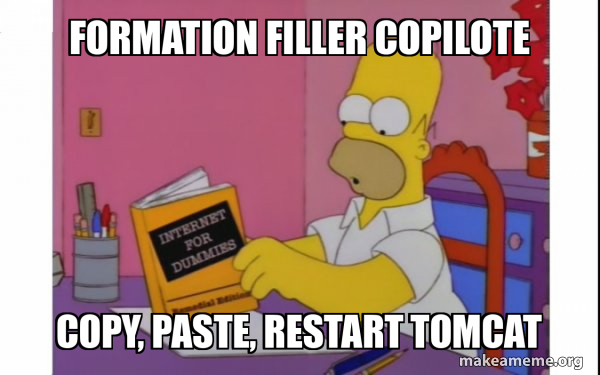 FORMATION FILLER COPILOTE COPY, PASTE, RESTART TOMCAT - Computer Homer ...