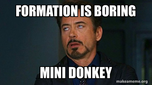 formation is boring mini donkey - Tony Stark Eye Roll Meme Generator