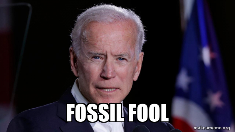 fossil fool Meme Generator