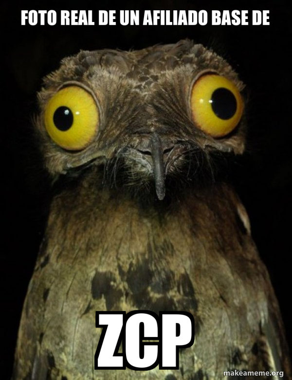 Foto Real de un Afiliado base de ZCP - Weird Stuff I do Potoo Meme ...