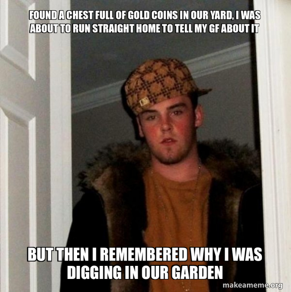 found a chest full of gold coins in our yard, I was about to run ...