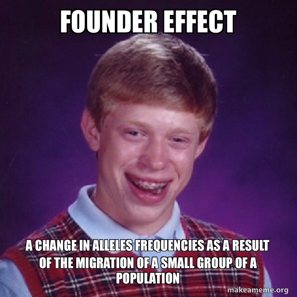 founder effect a change in alleles frequencies as a result of the ...