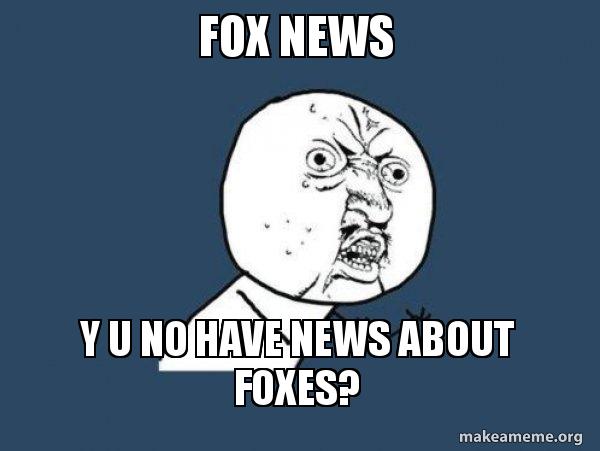 Fox News Y U no have news about foxes? - Y U No Meme Generator