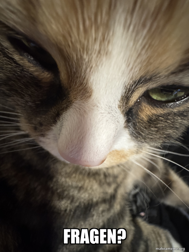 Fragen? Meme Generator