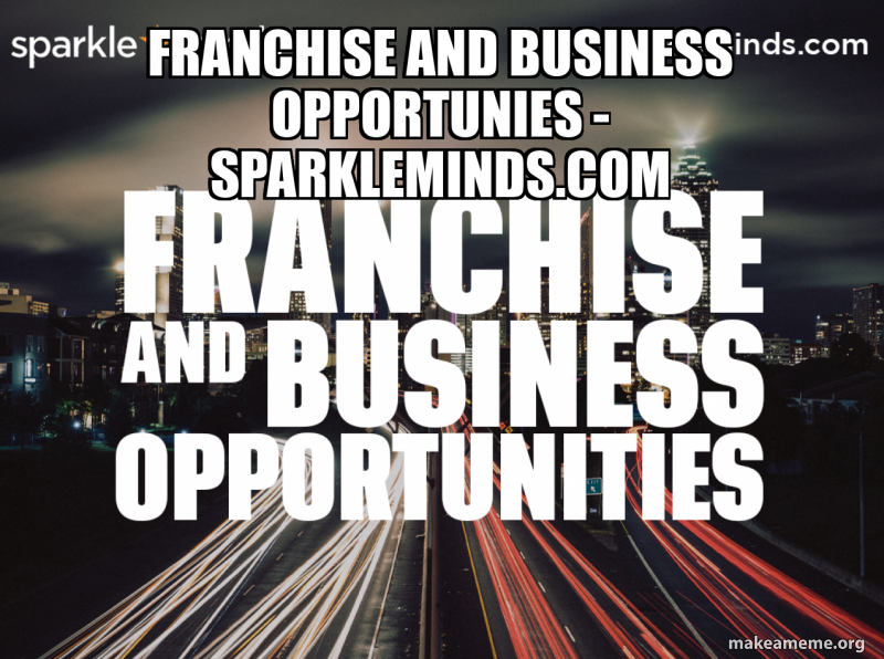 Franchise and Business Opportunies - sparkleminds.com Meme Generator