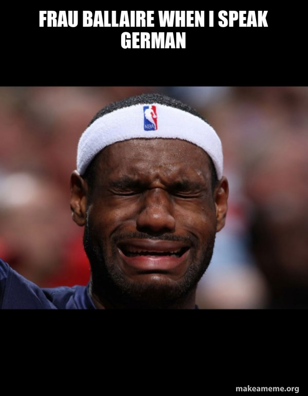Frau Ballaire when I speak german - Lebron Crying Meme Generator