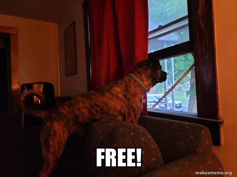 Free! Meme Generator