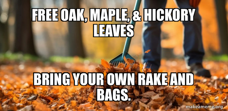 Free Oak, Maple, & hickory Leaves Bring your own rake and bags. Meme ...