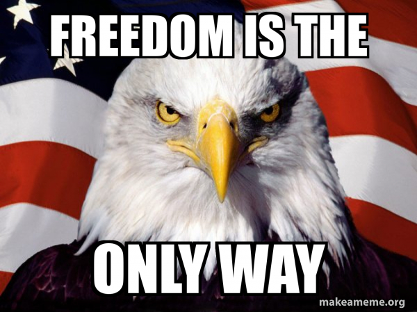 freedom is the only way - American Pride Eagle Meme Generator
