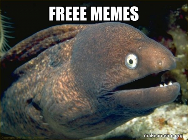 freee memes - Bad Joke Eel Meme Generator