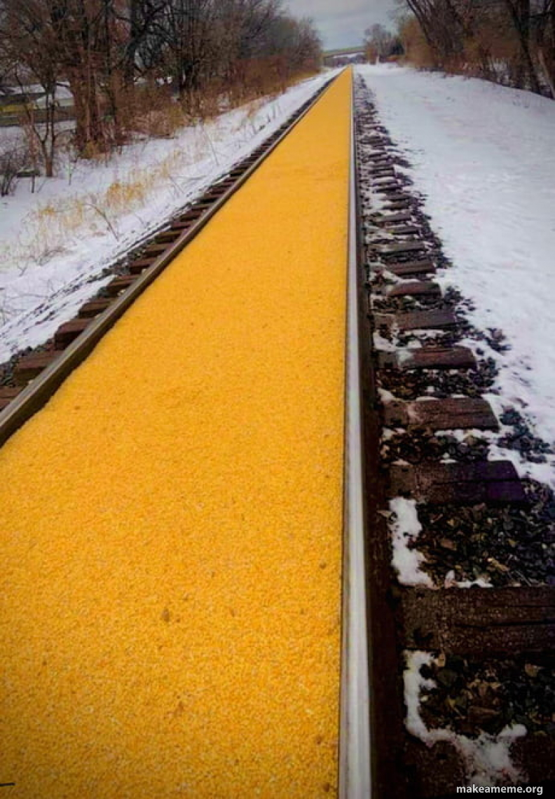 - Freight Train in Norway, spilled corn it was carrying...WOW! Meme ...