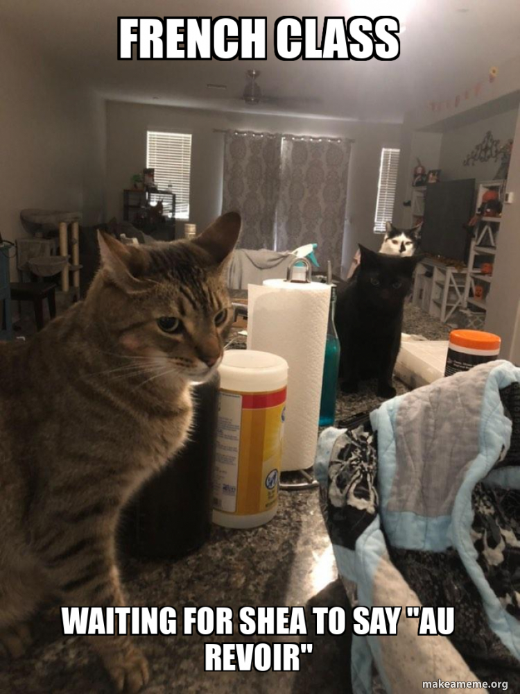 French class Waiting for Shea to say "Au revoir" Meme Generator