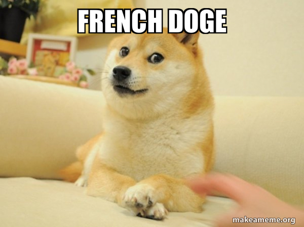 french doge - Doge Meme Generator