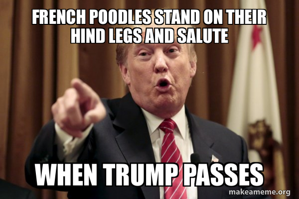 French poodles stand on their hind legs and salute when trump passes ...