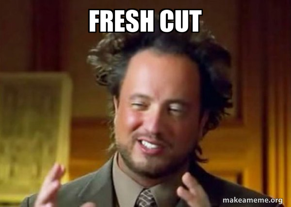fresh cut - Ancient Aliens - Crazy History Channel Guy Meme Generator