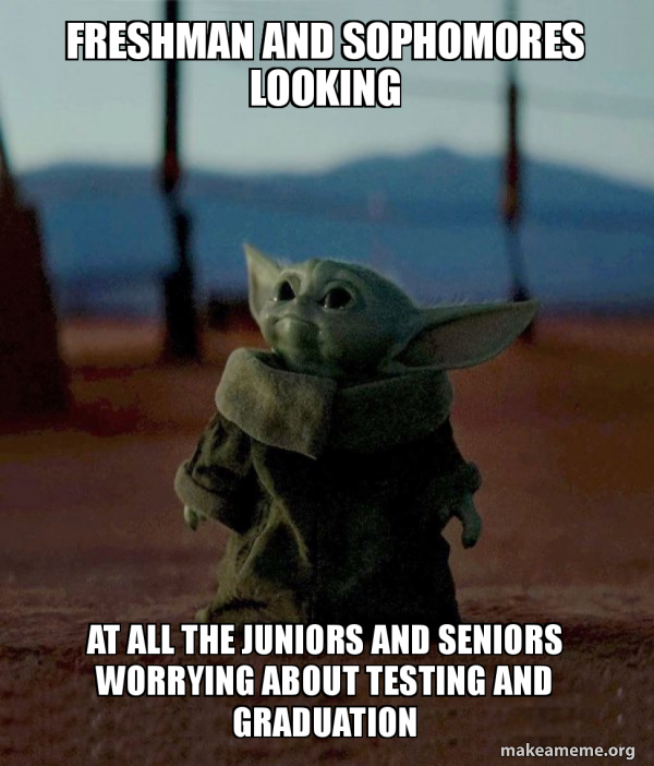 Sophomore Meme