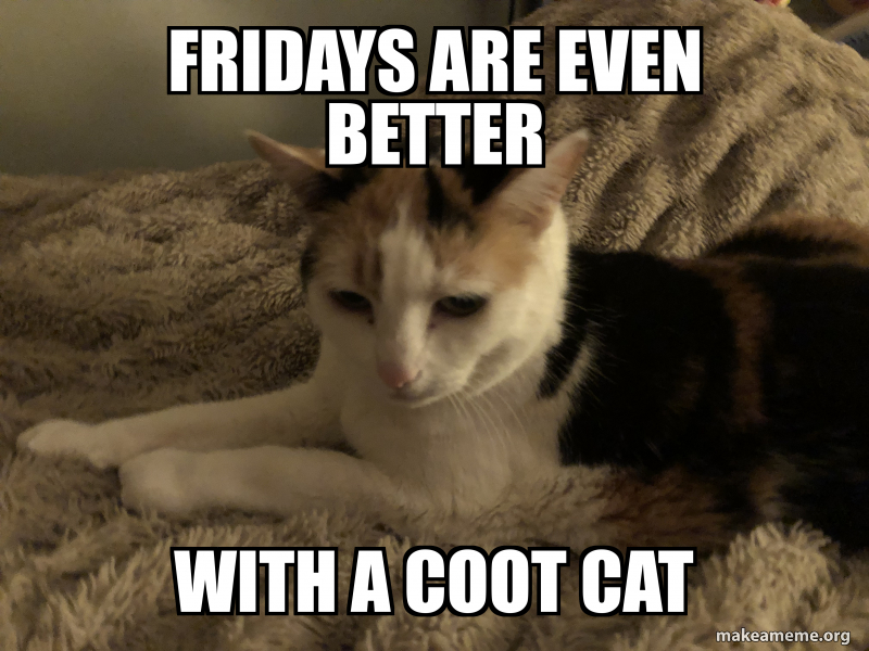 Fridays are even better With a coot cat Meme Generator