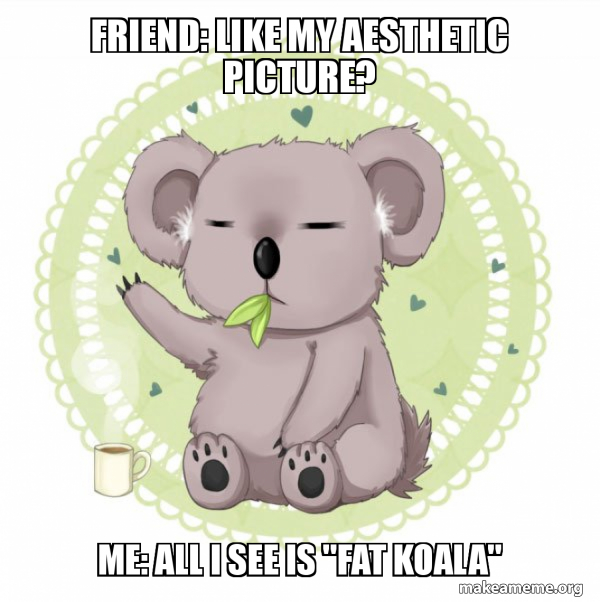 Friend: Like my aesthetic picture? Me: All I see is "Fat Koala ...
