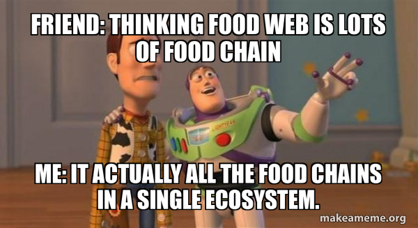 Friend: Thinking food web is lots of food chain Me: it actually all the ...
